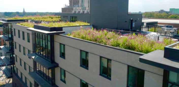 5 Popular Green Roof Designs Around the World